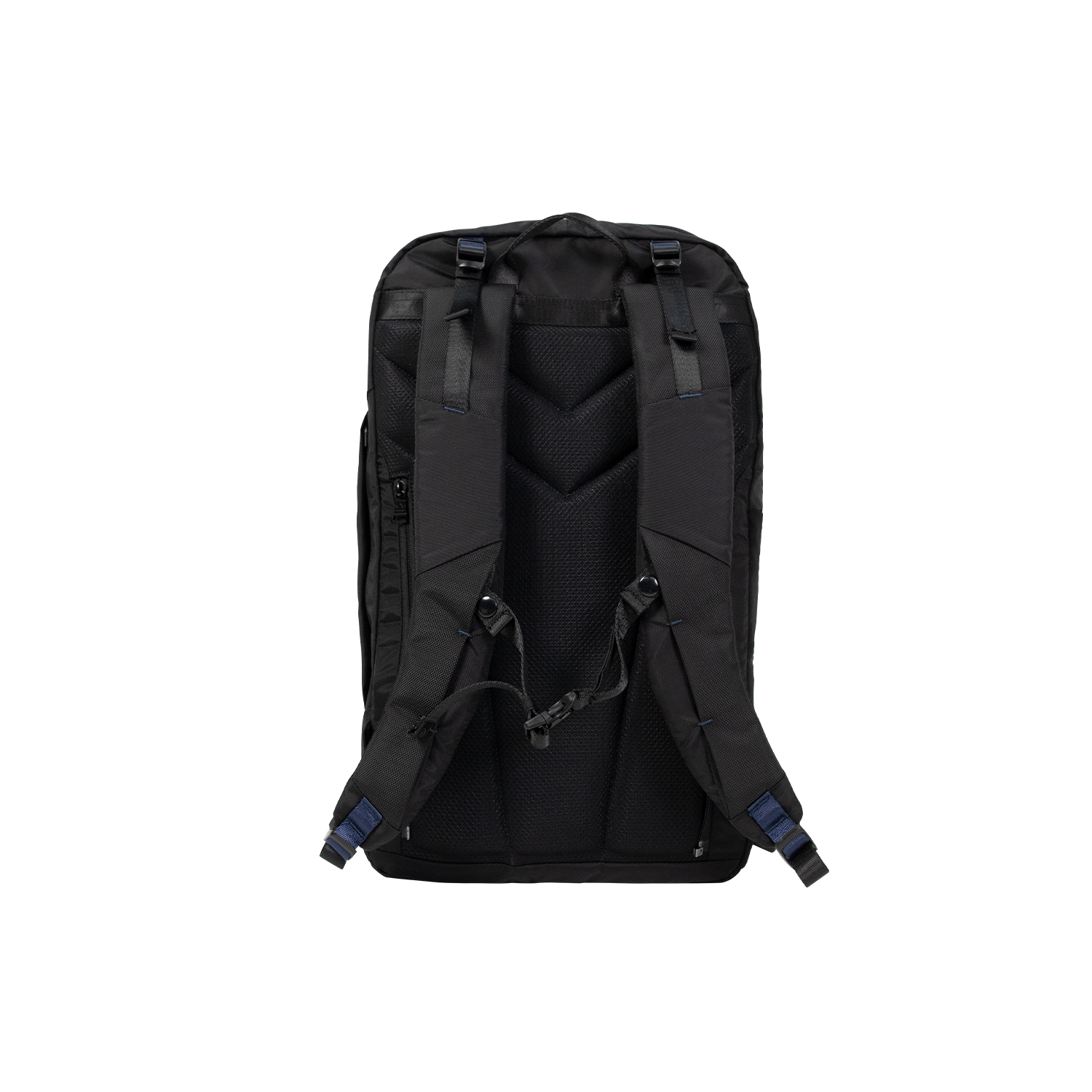 Stargazer The Actualise Series Backpack – Doughnut Backpack